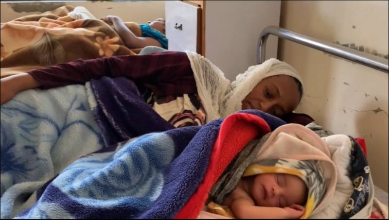 Tigray: Fundraising to Provide Meals for Patients at Mekelle General ...